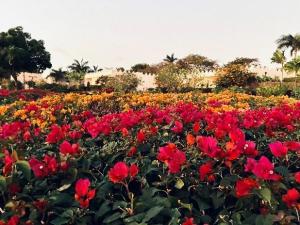 Honeymoon in Zanzibar, Tanzania: Everything you need to know and where ...