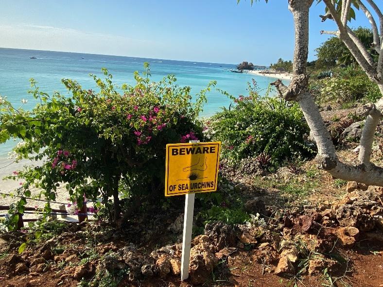 Honeymoon in Zanzibar, Tanzania: Everything you need to know and where ...