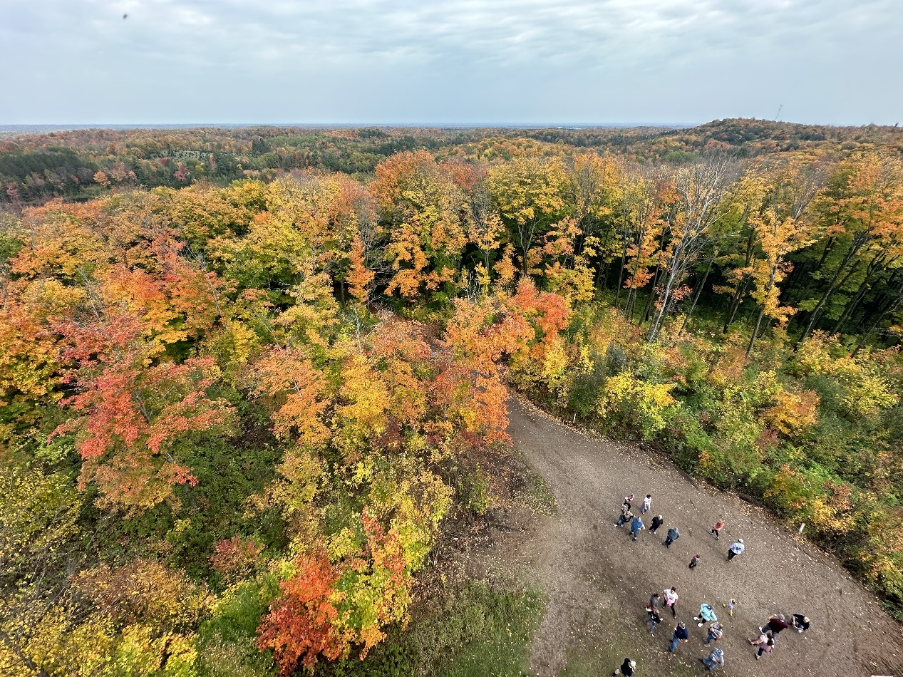 Top 15 Things to do in Tomahawk, Wisconsin – Parks and Planes