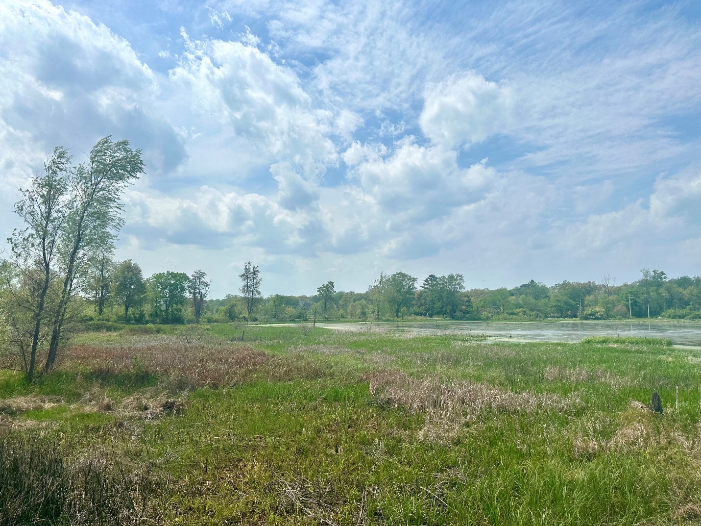 Guide to Indiana Dunes National Park: Natural Wonders – Parks and Planes
