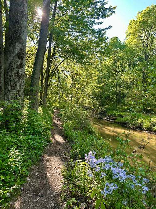 Guide to Indiana Dunes National Park: Natural Wonders – Parks and Planes