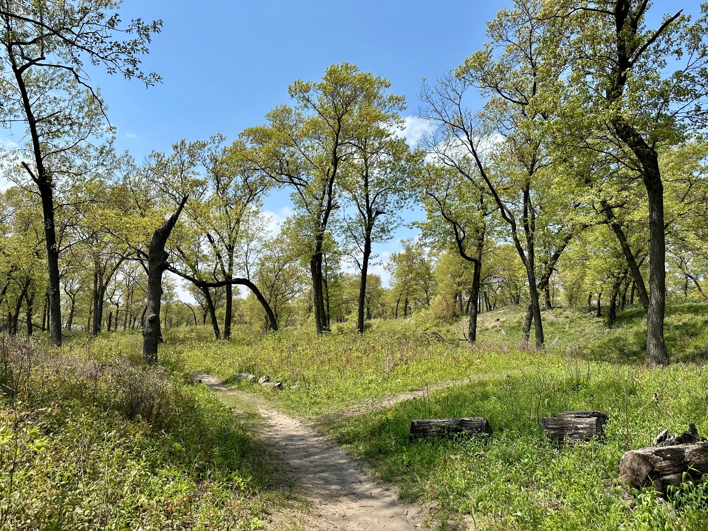 Guide to Indiana Dunes National Park: Natural Wonders – Parks and Planes